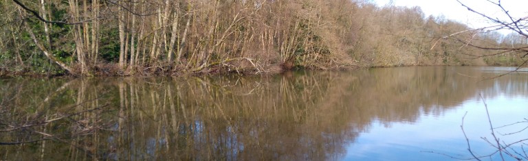 A good guide to fishing with Farnham Angling Society