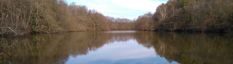A landscape view of Warren Pond | Allaboutangling.net